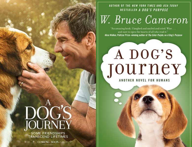 A Dog’s Journey (2019): movie vs book