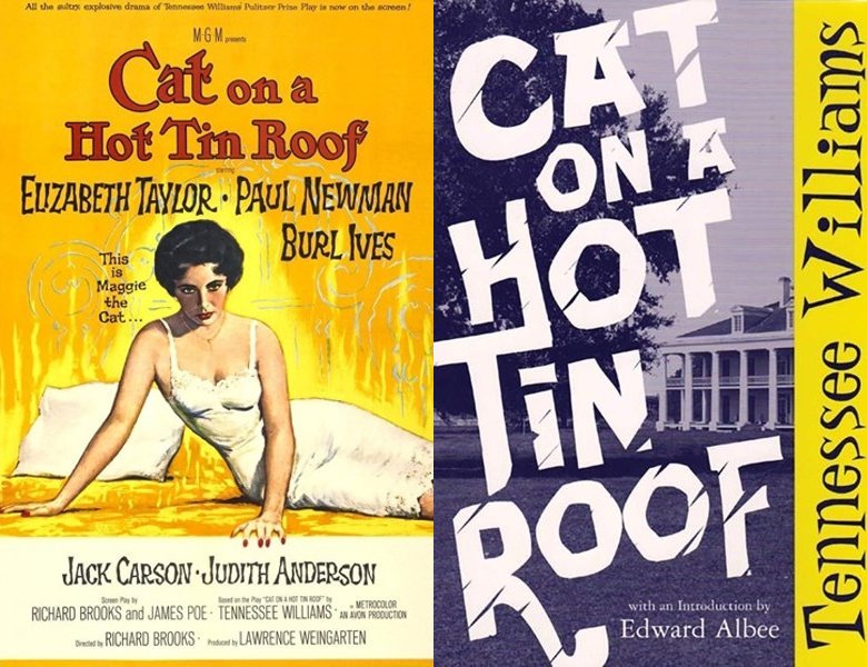 Cat on a Hot Tin Roof (1958): movie vs book