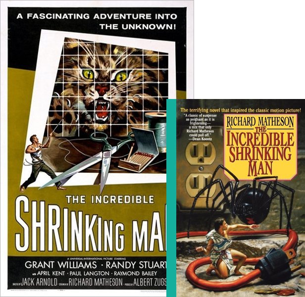 The Incredible Shrinking Man (1957): movie vs book