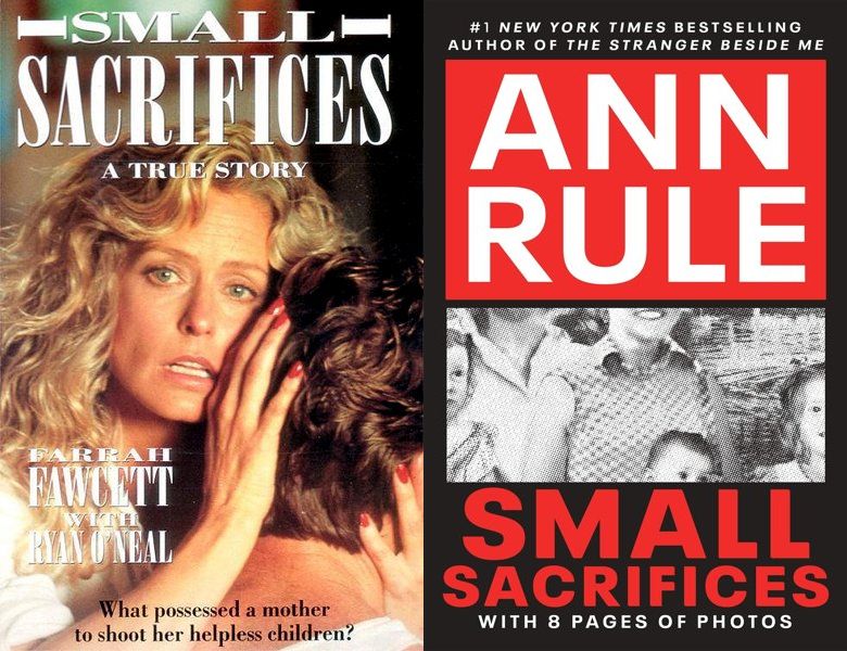 Small Sacrifices (1989): TV series vs book
